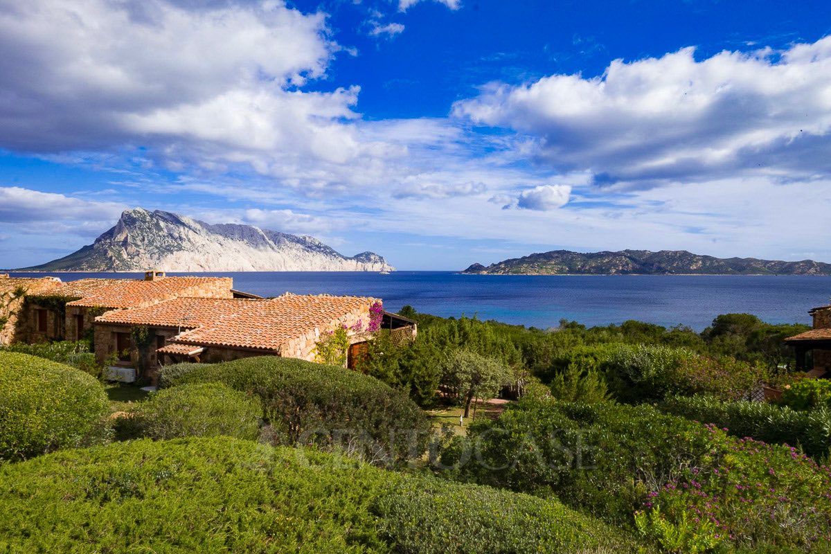 Villen und Wohnungen zum Kauf in Punta Molara und Cala Ginepro ...